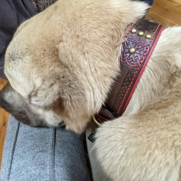 Drifa / 1.5 Inch Collar - Etsy