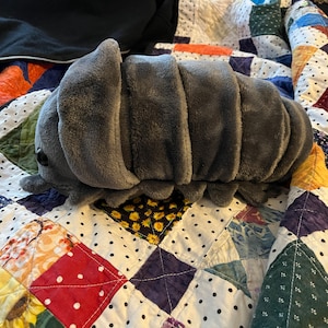 Isopod Roly Poly Pillbug Plush Animal Sewing Pattern .pdf Tutorial Wood ...