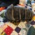 Isopod Roly Poly Pillbug Plush Animal Sewing Pattern .pdf Tutorial Wood ...