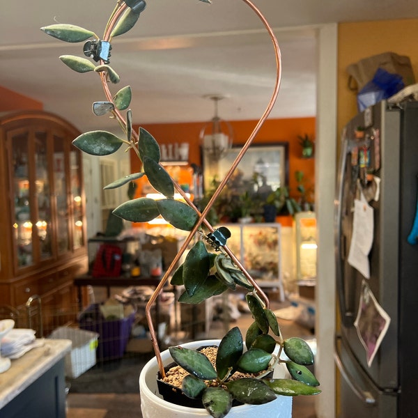 Mushroom Arch Mobile Suncatcher Trellis, Arch Trellis, Trellis for ...