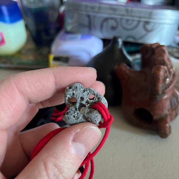 Rare Turquoise Cute, Beautiful Shell, Sea Treasure, Large Round Shell ...