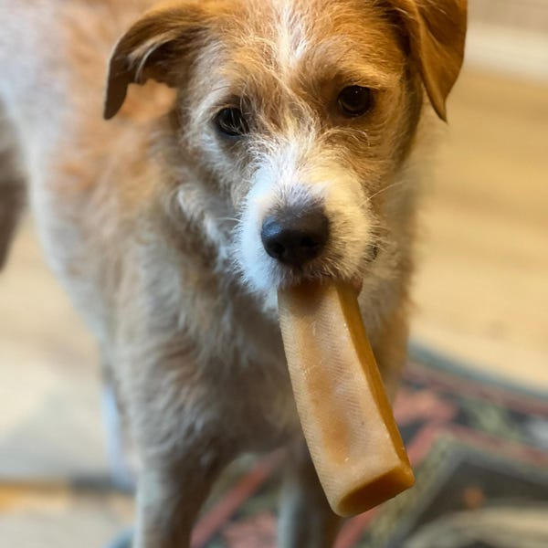 All-natural Water Buffalo Cheek Rolls for Dogs – Long Lasting Rawhide ...