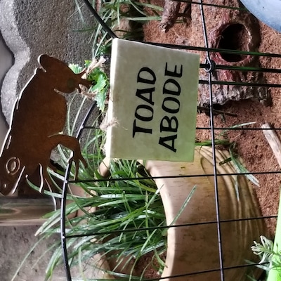 Toad Abode Funny Garden Sign Toad House Garden Sign Cute Gift for ...