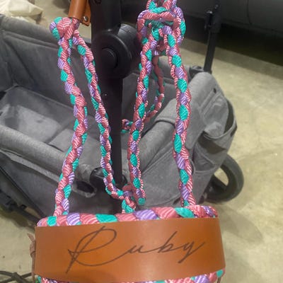 Sparkle Gambler Halter Horse Mule Tape Halter With Bronc Nose Band ...