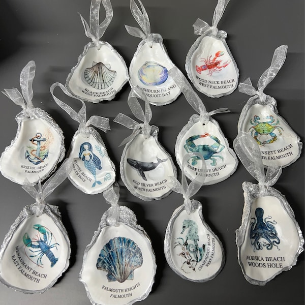 Bleached Oyster Shells, Cups and Flats, Bulk - Etsy