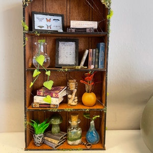 DIY KIT Miniature Fairy Witch Bookshelf Kit DIY Miniature Bookshelf ...
