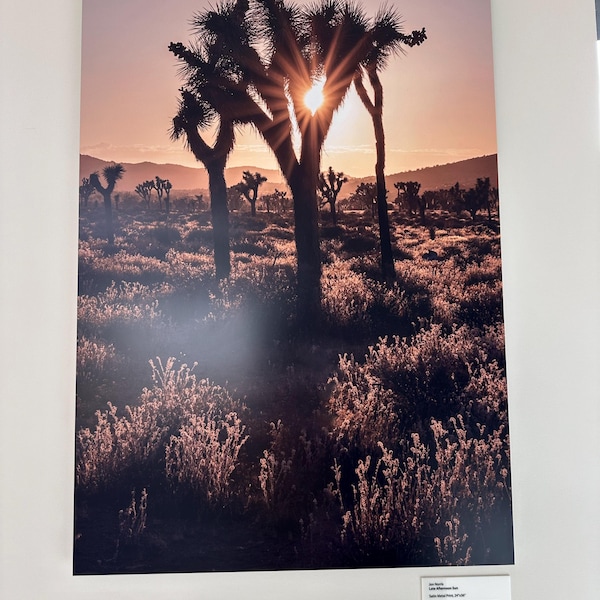 Personalized Art Gallery Placard: Self Adhesive Acrylic Artist Sign - Etsy