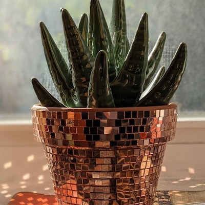 Disco Planter 4 Inch Disco Pot for Plants Gold Boho Plant Holder ...