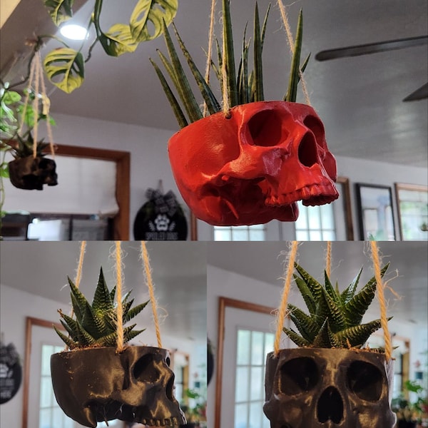 Skull Hanging Planter Pot, Hanging Kit Included - Succulent Planter ...