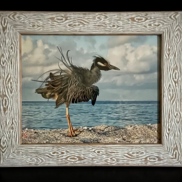 Seashell Photography, Shell Photo, Beach Decor, Fine Art Print, Coastal ...