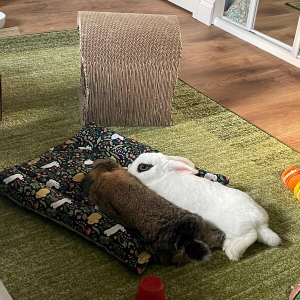 Padded Cotton Blanket Set for Ikea Dolls Bed Bunny Rabbit Blanket Pet ...