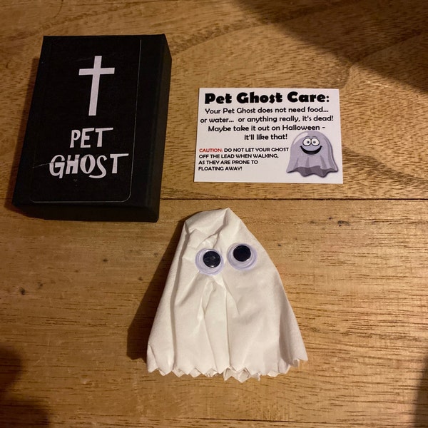 Pet Ghost - Funny Novelty Gift Ideas - Ideal for Birthday Presents ...