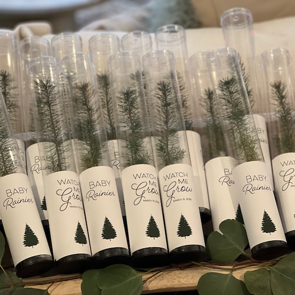 Baby Shower Tree Favor | Favors for Baby Shower | Gift Trees | Baby ...