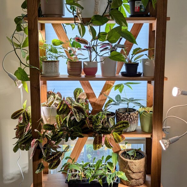 Modern Floating Wall Shelf, Java-stained Cherry & Maple Shelving Unit ...