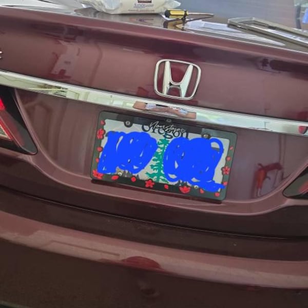 Cherry Blossom License Plate Frame/ Kawaii Car Accessories / Cute Car ...