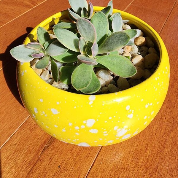 Succulent Planter / Azalea Pot / Ceramic Succulent Pot / Ceramic Flower ...
