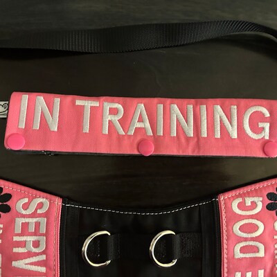 Leash Sleeve or Collar Wrap, Your Text Here, Customizable, Custom ...