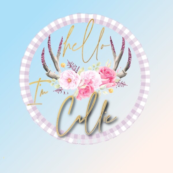 100 Colors Clip Art: Gingham Frame #4, 100 Colors Frames, Digital Frame ...