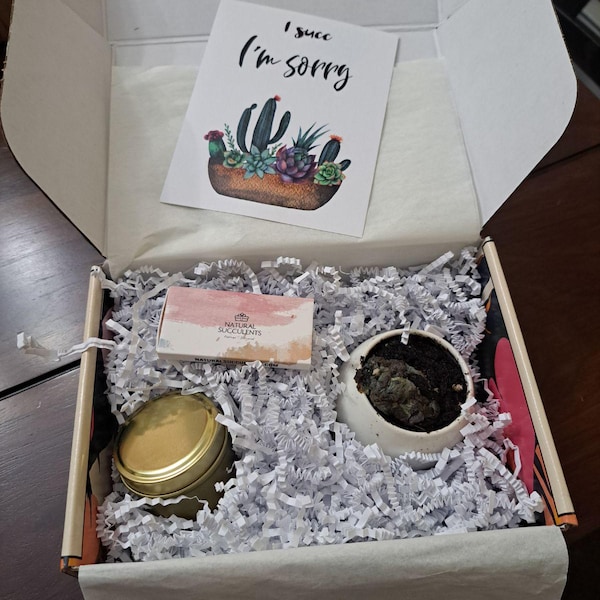 I Succ I'm Sorry Succulent - Apology Gift Box - Sunshine Gift - Regrets ...