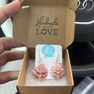 Broad-ribbed Cardita Seashell Owl - Etsy