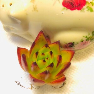 Beautiful Hand Pinched Flowerpot Succulent Ceramic Flower Pots - Etsy