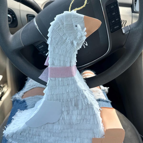 Goose Birthday Pinata, Silly Goose Birthday, Goose Party, Goose ONE ...
