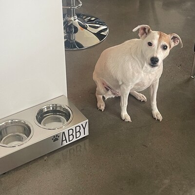 Tree of Life Modern Vertical Wall Mounted Coat Rack - Etsy