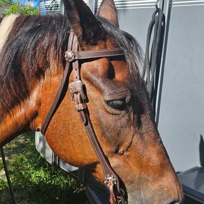 Belt Style Turquoise Buckstitch Split Ear Headstall Activeleather ...