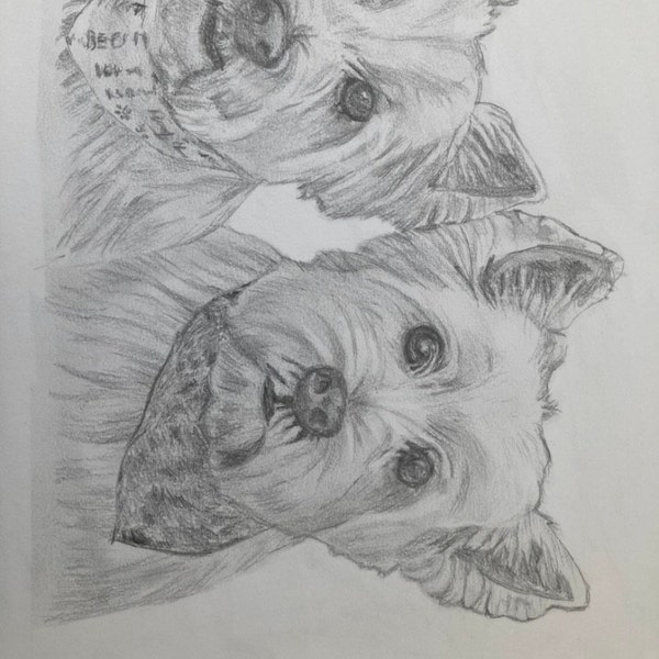 Custom Dog Drawing From Your Photo, Custom Dog Sketch From Your Photo ...