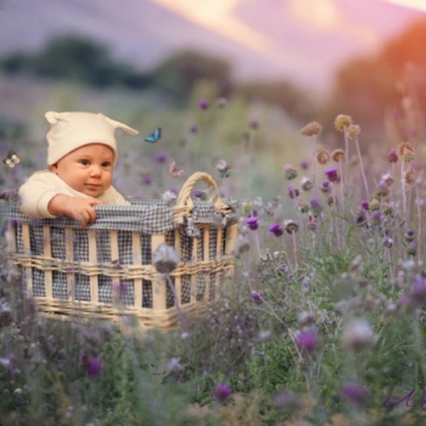 Beautiful Carousel Horse - Newborn - Digital Backdrop - Digital ...