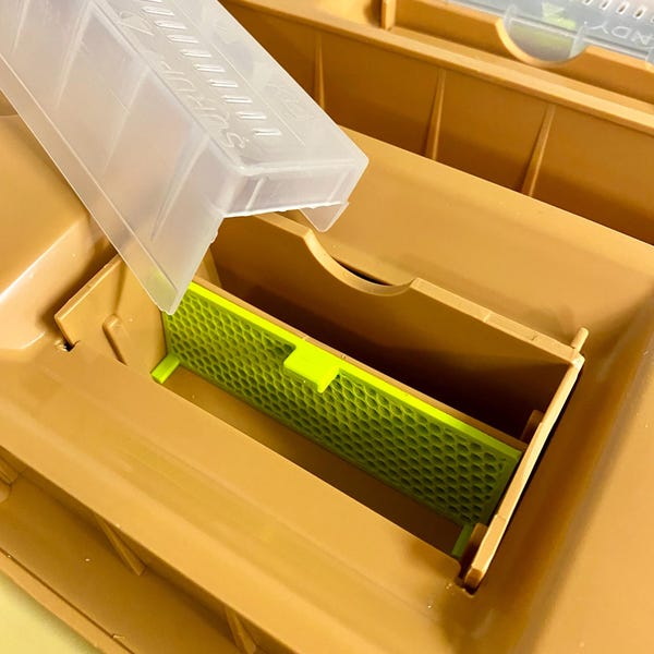 Monarch Butterfly Raising Kit- Butterfly Raising Kit, Milkweed Floral ...