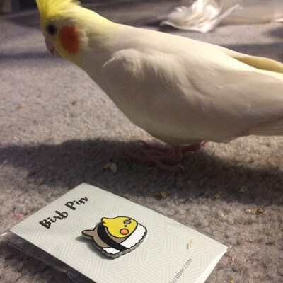 Bird Sushi Enamel Pins 4 Types - Etsy