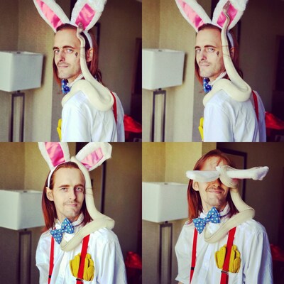 Roger Rabbit Bow Tie Yellow Polka Dot Blue Bowtie Pre-tied - Etsy