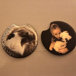 Floor Pets, Floor Mop Cat, Teddy, Frog and Turtle. Steampunk Floor Mop ...