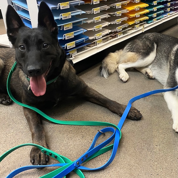 Trailblazer Customizable Braided Biothane® Dog Leash, Dog Lead ...