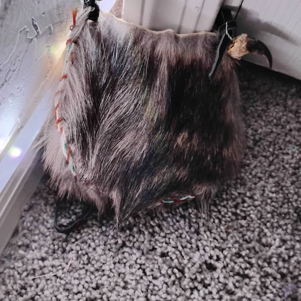 North American Theriotypes Sticker Sheet! Therians Nature Stickers - Etsy