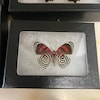 Callicore Kolyma One Real Butterfly Red White Verso Peru - Etsy