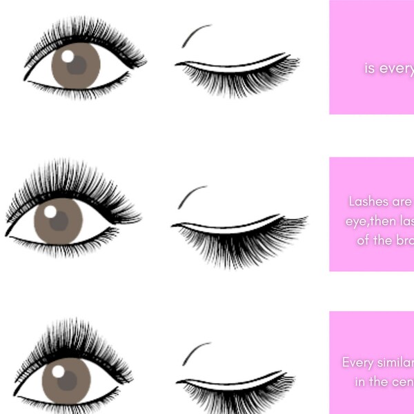 Eyelash Consultation Forms PDF, Eyelash Style Guide, Eyelash Styles ...
