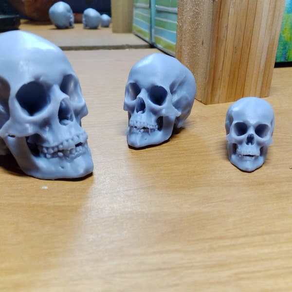 Human Skull Realistic Detailed Model | Resin 3D Print | Gray & White ...