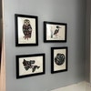 Raven Stealing the Sun Limited Edition Giclée Art Print unframed ...