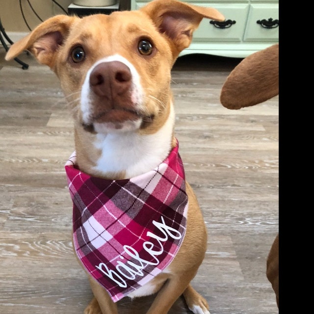 Autism Spectrum Awareness Puzzle Piece Tie On Dog Bandana | Etsy