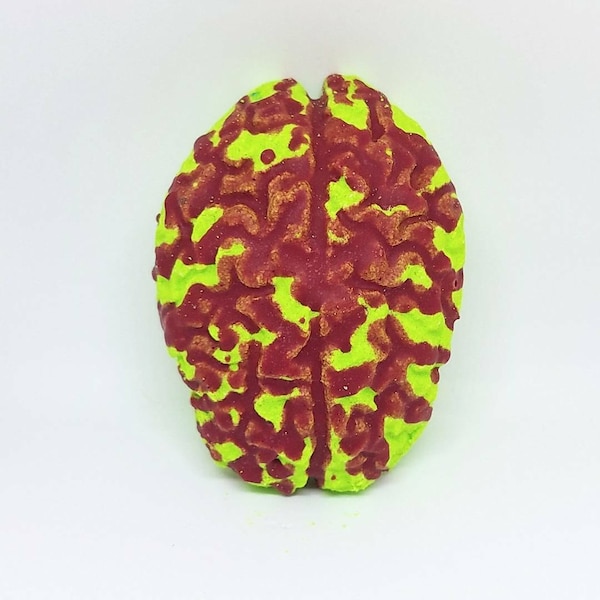 Human Brain Plastic Mold or Silicone Mold, Resin Mold, Brain Mold, Clay ...