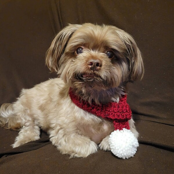 Dog & Puppy Winter Crochet Scarf * Pet Scarves for Winter Holidays ...