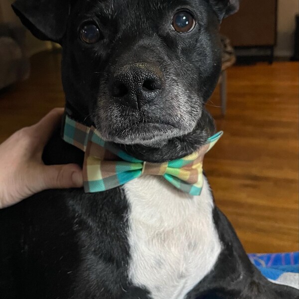Handmade Duck Collar. Coco Collar. Green and Brown Jacquard Ribbon. for ...