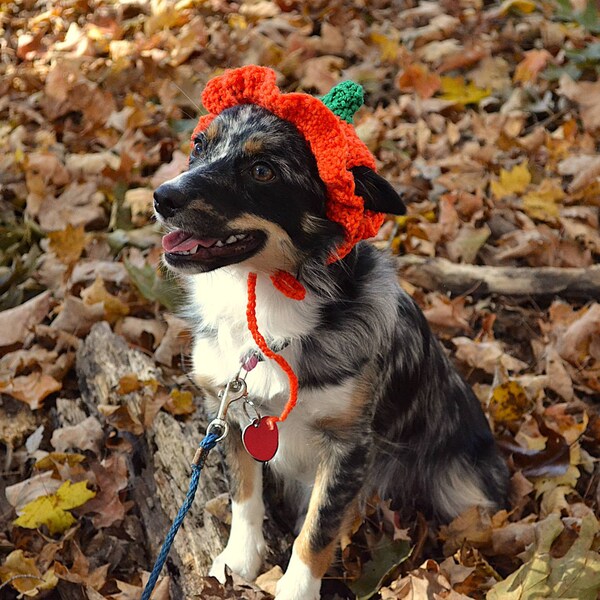 Santa Ruffle Dog Hat Crochet PATTERN - Etsy