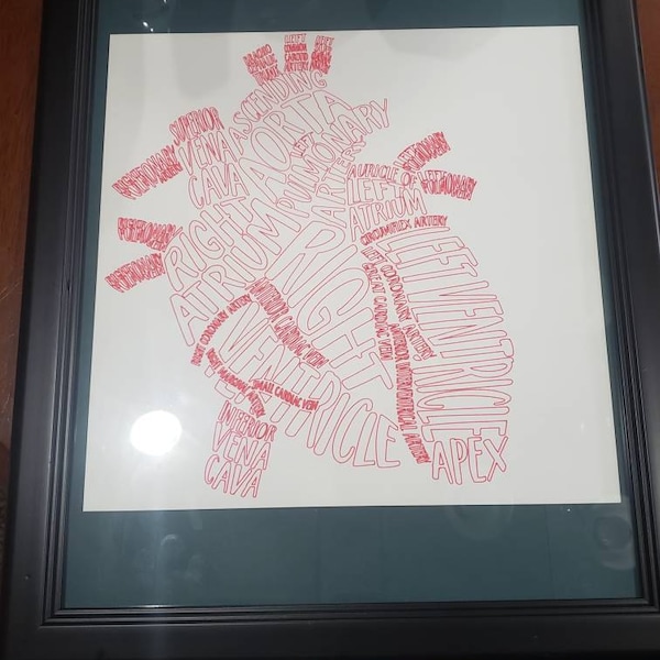 Heart Typography Gross Anatomy of the Heart RN Nurse Doctor ...