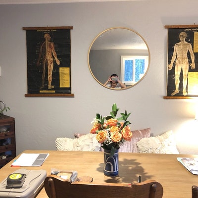 Vintage Anatomy Pull Down Chart Rare Medical School Chart Educational