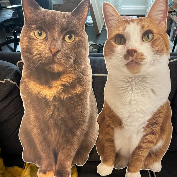 Custom Fat Head Big Face Cutout for Sports Celebration Birthdays Events ...