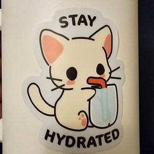 Stay Hydrated Matte Vinyl Sticker, Water Bottle Sticker, Car Decal ...