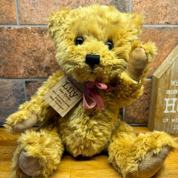 Personalised New Baby Teddy Bear | New Baby Gift | New Born Teddy ...